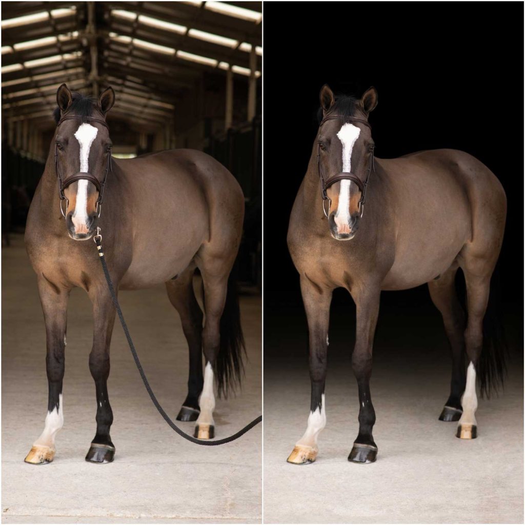 Retouching Services by Photographer's Edit